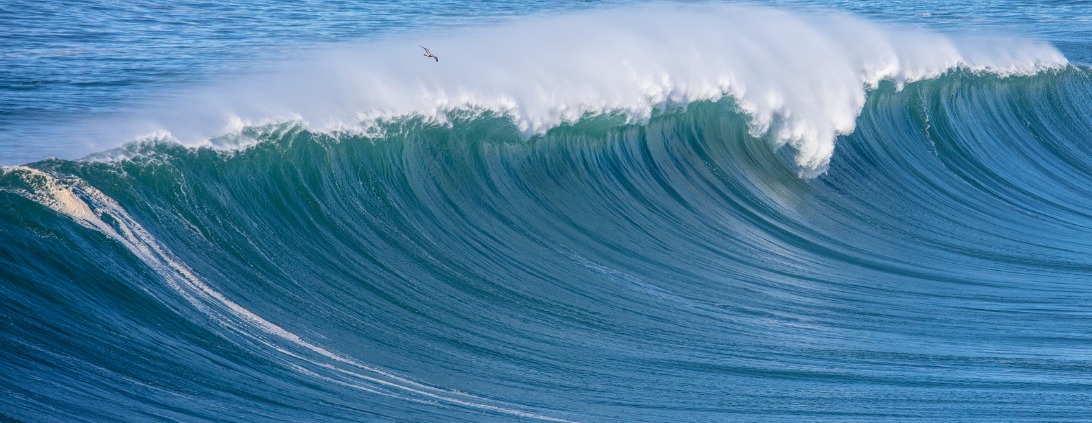 Ennis Chamber congratulates ESB and Simply Blue Group On new Wave ...